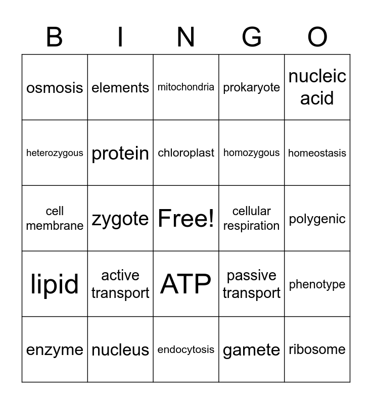Biology Midterm Review Bingo Card