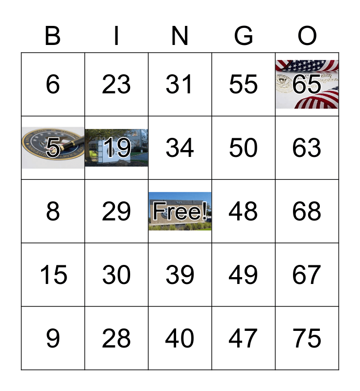 Number Bingo 1-100 Bingo Card