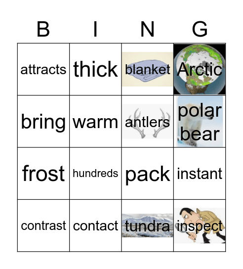 DL2 two-syllable Arctic story Bingo Card