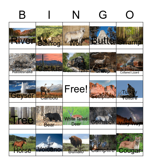 National Parks Adventure Bingo Card