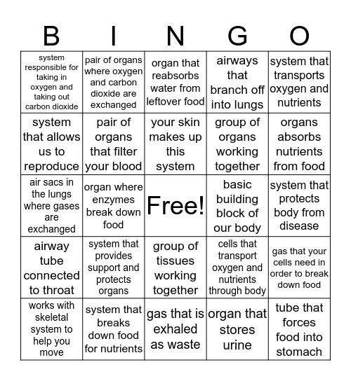 Body Systems Bingo Card Body Systems Bingo Card