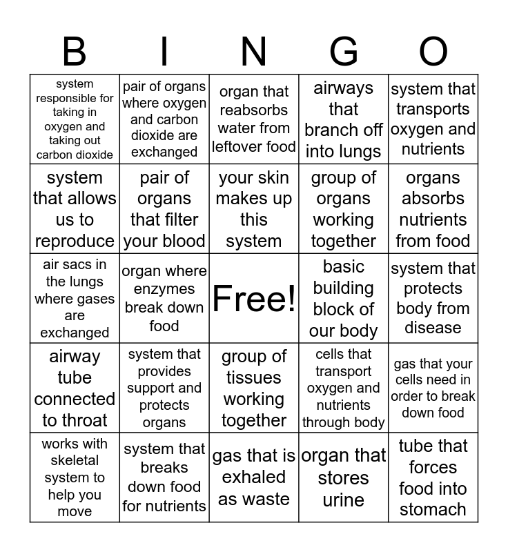 Body Systems Bingo Card