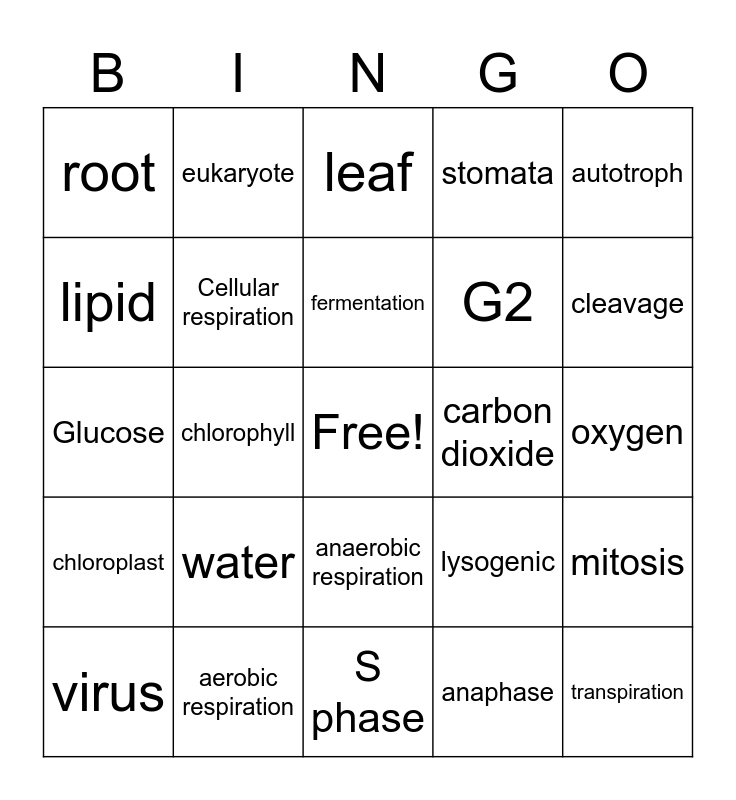 Photosynthesis and Cellular Respiration Bingo Card