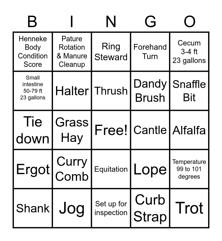 GALLOPING GLORY 4-H Bingo Card
