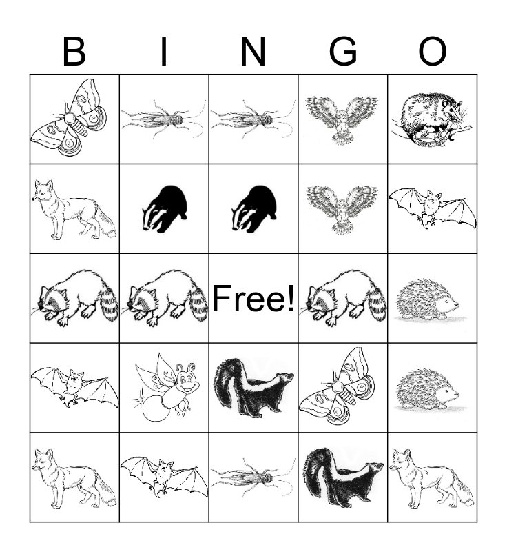 Nocturnal Animals Bingo Card