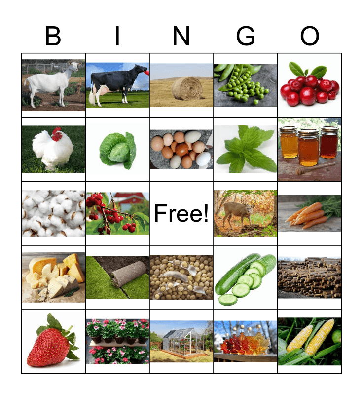 WISCONSIN AG BINGO Card