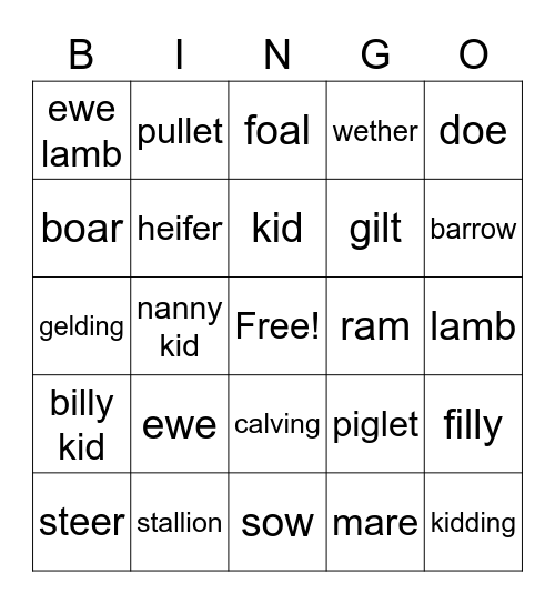 Livestock Terminology Bingo Card