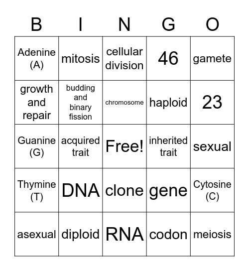 Genetics Part 1 Bingo Card