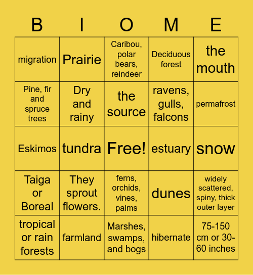 BIOME Bingo Card