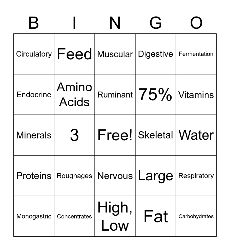 Animal Anatomy & Physiology & Nutrition Bingo Card