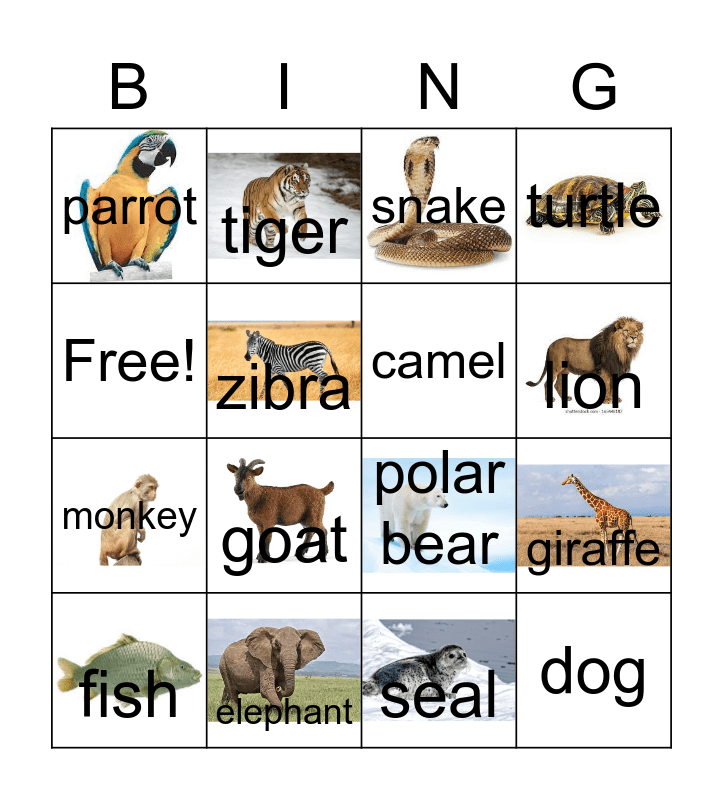Animals Bingo Card