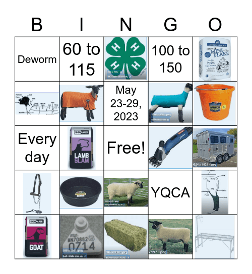 Herald 4-H Goat and Sheep Bingo Card