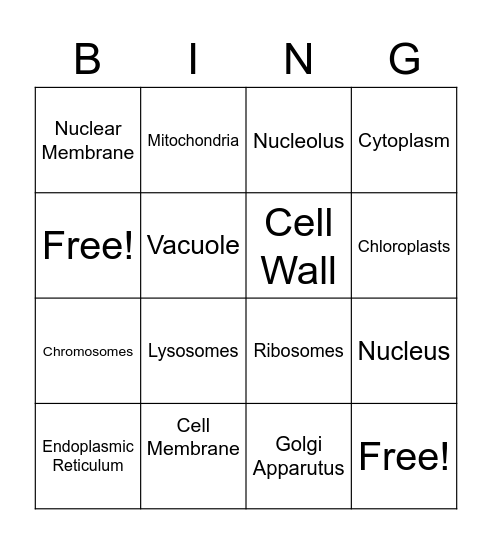 Plant Cell Bingo Card