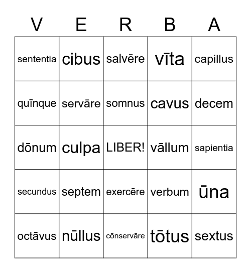 Advanced Latin Set 16 Bingo Card