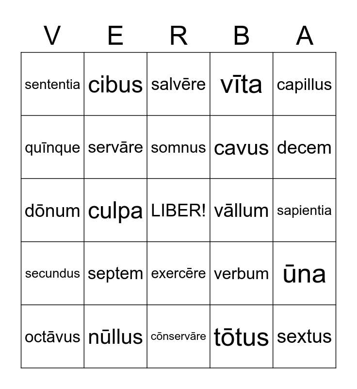 Advanced Latin Set 16 Bingo Card