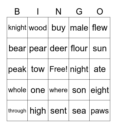 HOMOPHONE BINGO-2 Bingo Card
