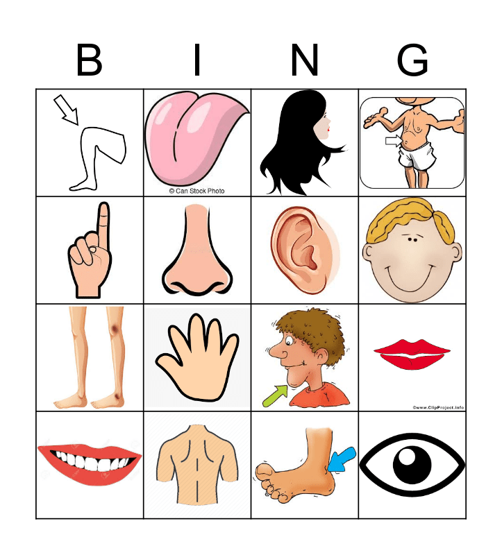 Corps humain Bingo Card