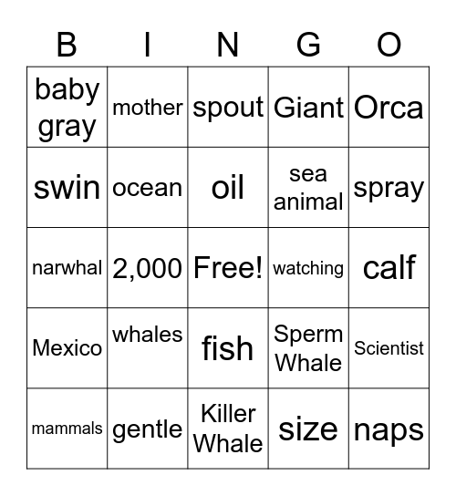 Whales: Gentle Giants Bingo Card