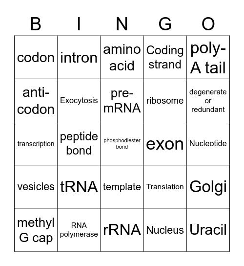 Protein Synthesis and DNA Bingo Card