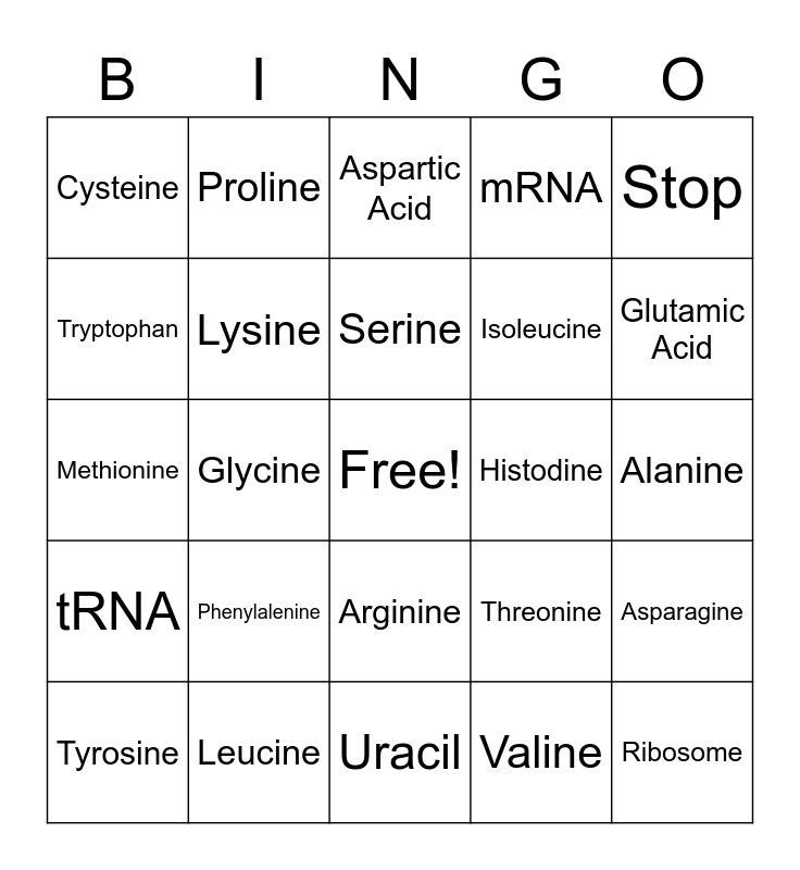 Protein Synthesis BINGO Card