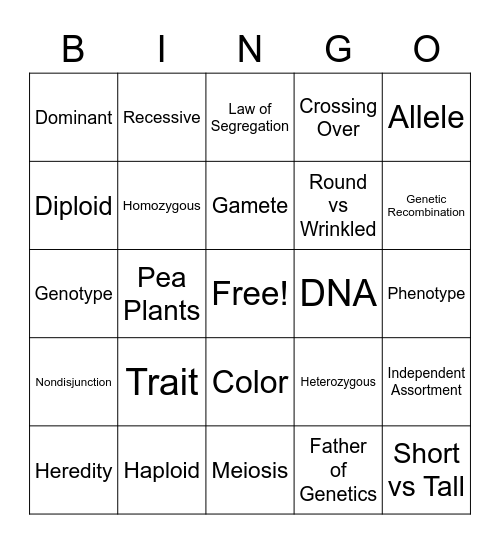 Chapter 10 Genetics Bingo Card