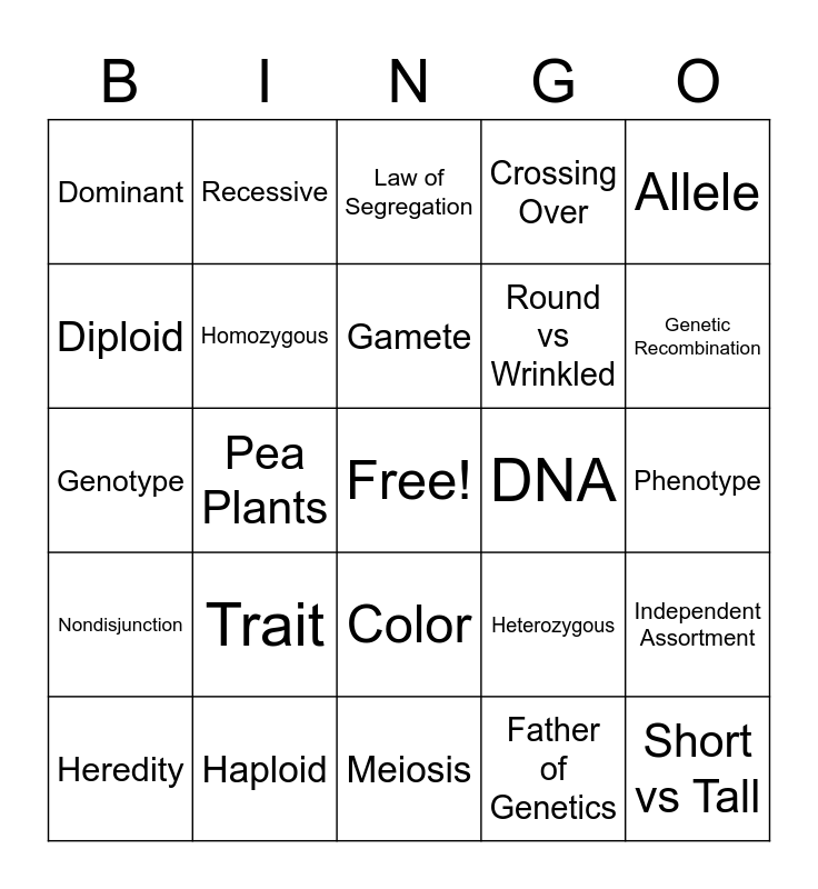 Chapter 10 Genetics Bingo Card