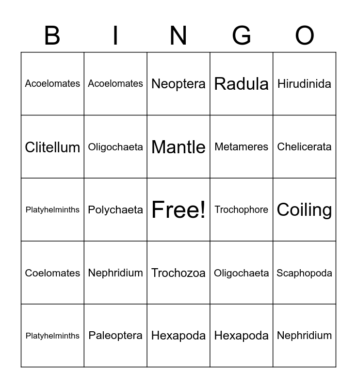 Zoology: Exam 3 Bingo Card
