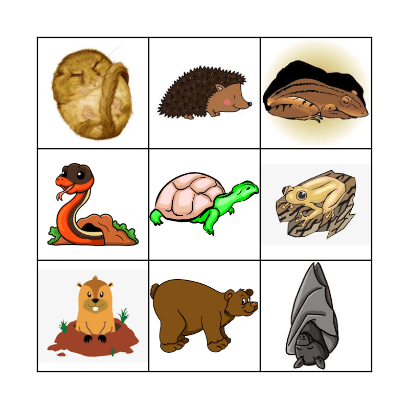 Hibernation Bingo Card