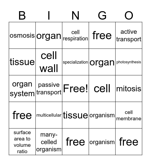 Cell & Body Structure Bingo Card
