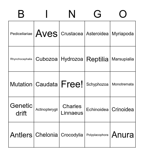 Zoology Final Exam 3 Bingo Card