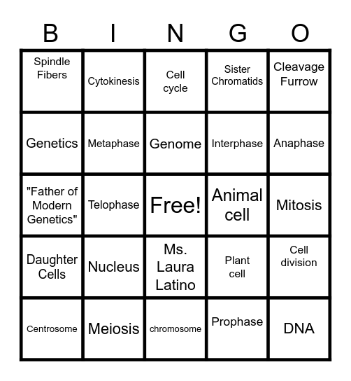 Cell Division Bingo Card