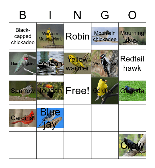 Bird Bingo Card