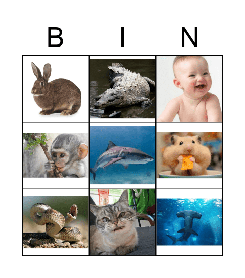 Scary or not scary Bingo Card