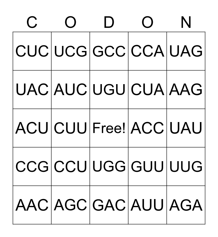 Codon Bingo 2 Bingo Card
