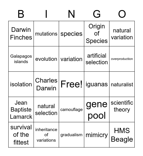 Evolution Bingo Card