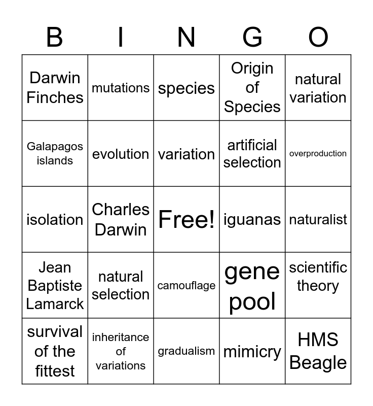 Evolution Bingo Card