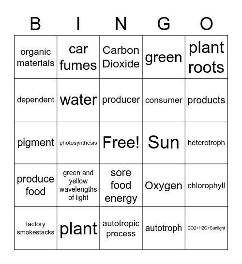 Photosynthesis Bingo Card