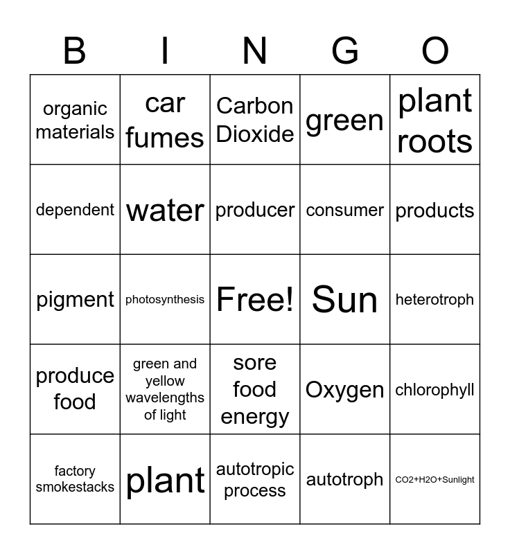 Photosynthesis Bingo Card