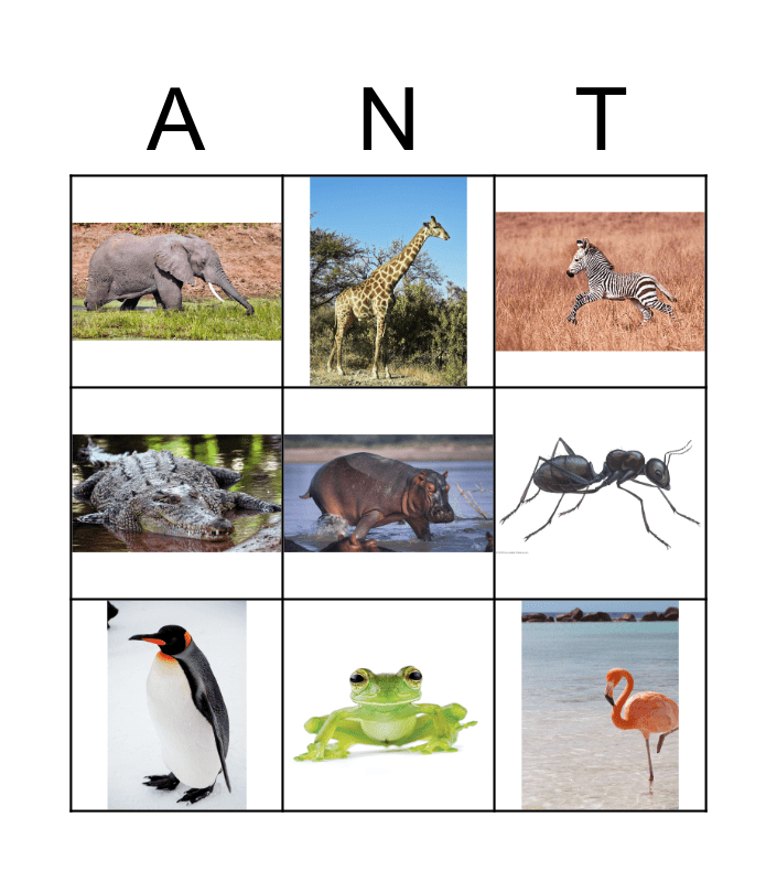 ANT LUCY IS LOOKING FOR A FRIEND Bingo Card