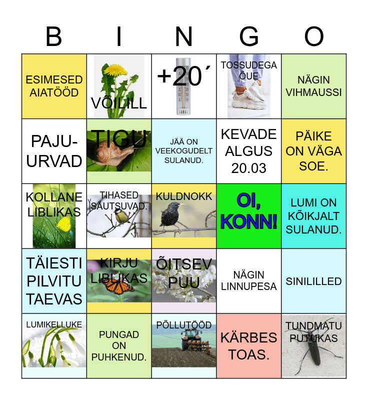 KEVADE MÄRKAMISE BINGO Card