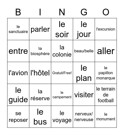 CampSteam: Les papillons Monarques Bingo Card