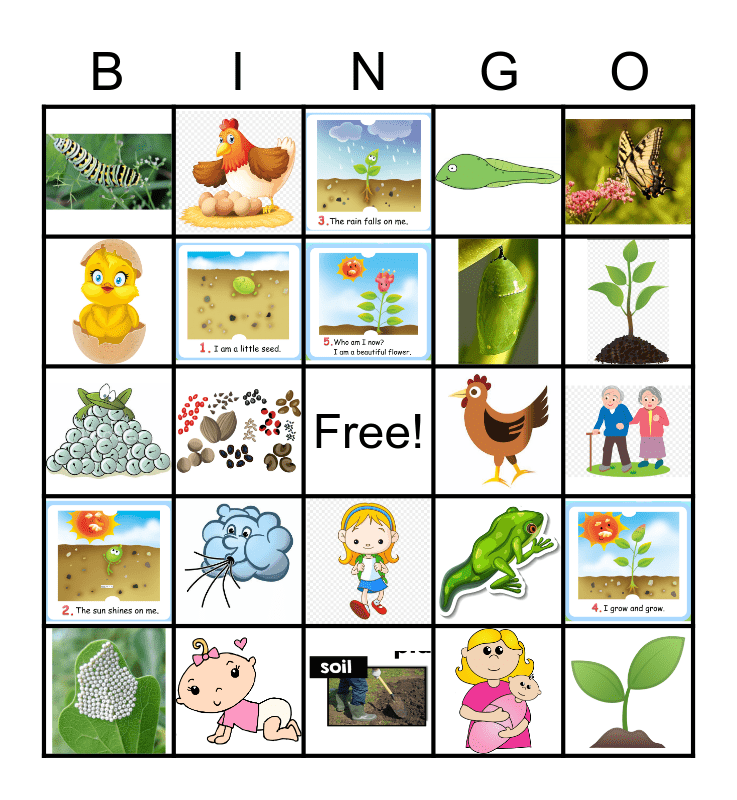 Life Cycles Bingo Card