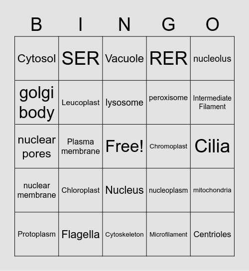 cell bingo Card