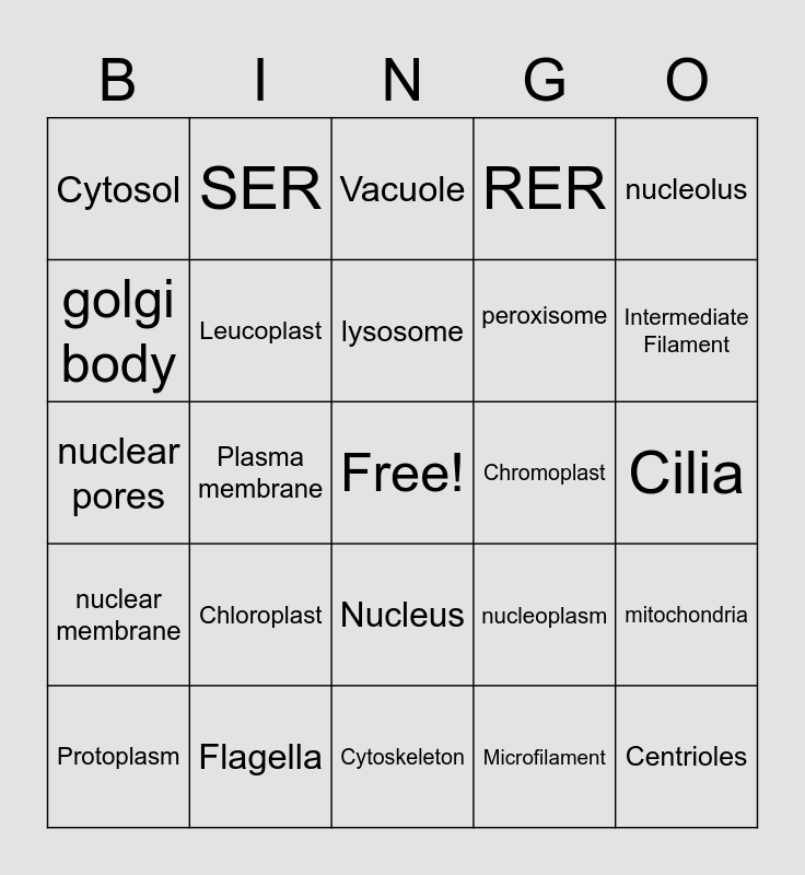 cell bingo Card
