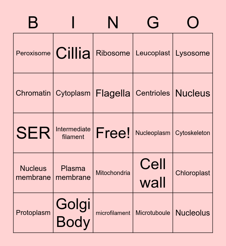 Organelle Bingo Card