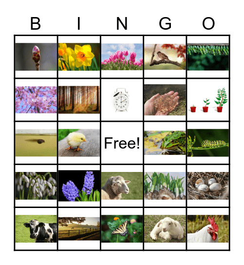 lente Bingo Card