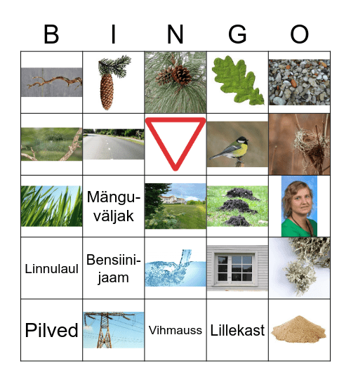 Loodus Bingo Card