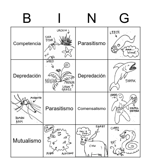 Ecological Interactions Bingo Card
