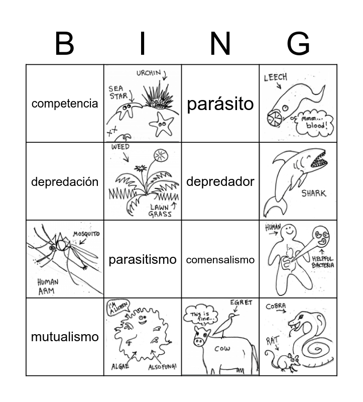 Ecological Interactions Bingo Card