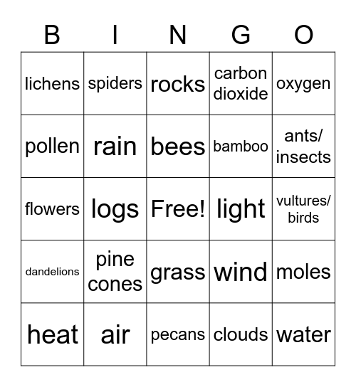 Berkeley Middle School Biotic and Abiotic Factors Bingo Card